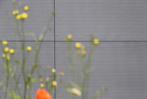 Cembrit introduces new facade board with 3D effect | BPindex blog