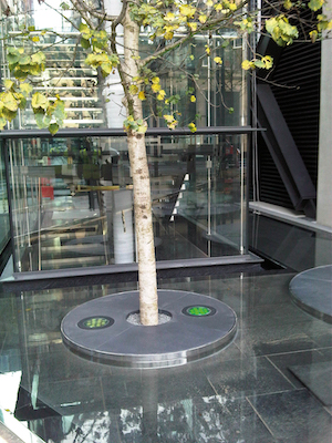 Shouting from the tree tops: The benefits of tree pits | BPindex blog